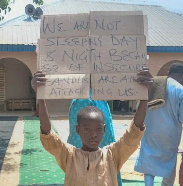 Over 200 Nigerian school hostages released after abduction