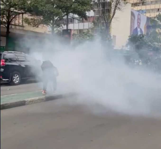 #OccupyParliament: Police officer loses both arms in teargas canister ...