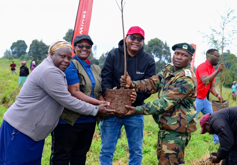 Minet plants 20,000 trees in Kiambu in ongoing reforestation drive