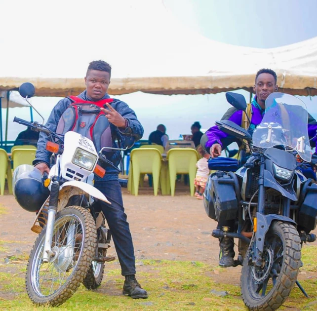 Ride for donkeys: A journey on two wheels and the heart of a nation